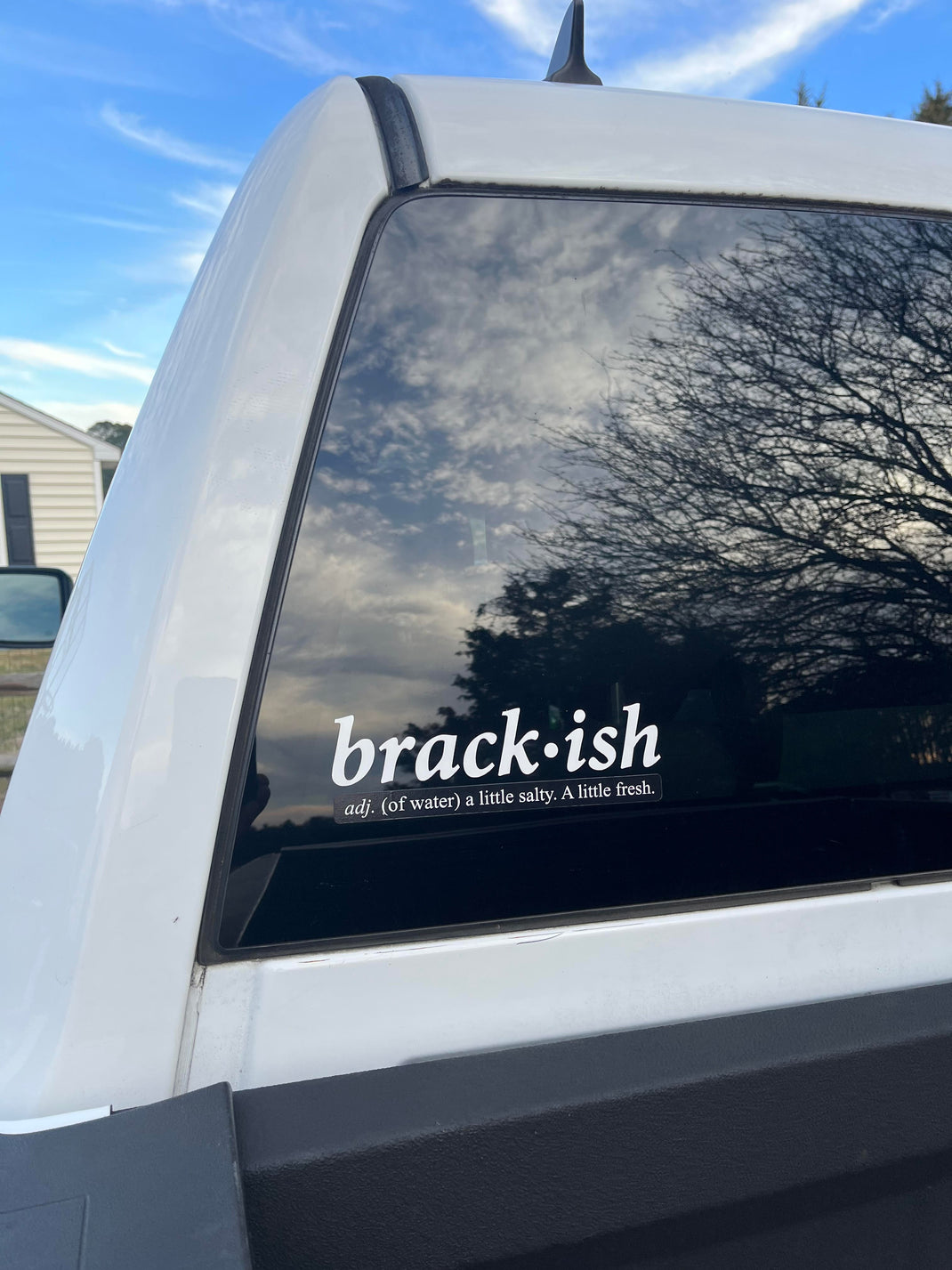 Brackish Life