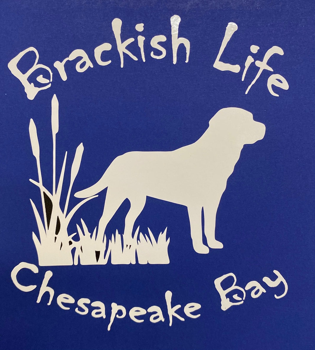Decals – tagged "decals" – Brackish Life